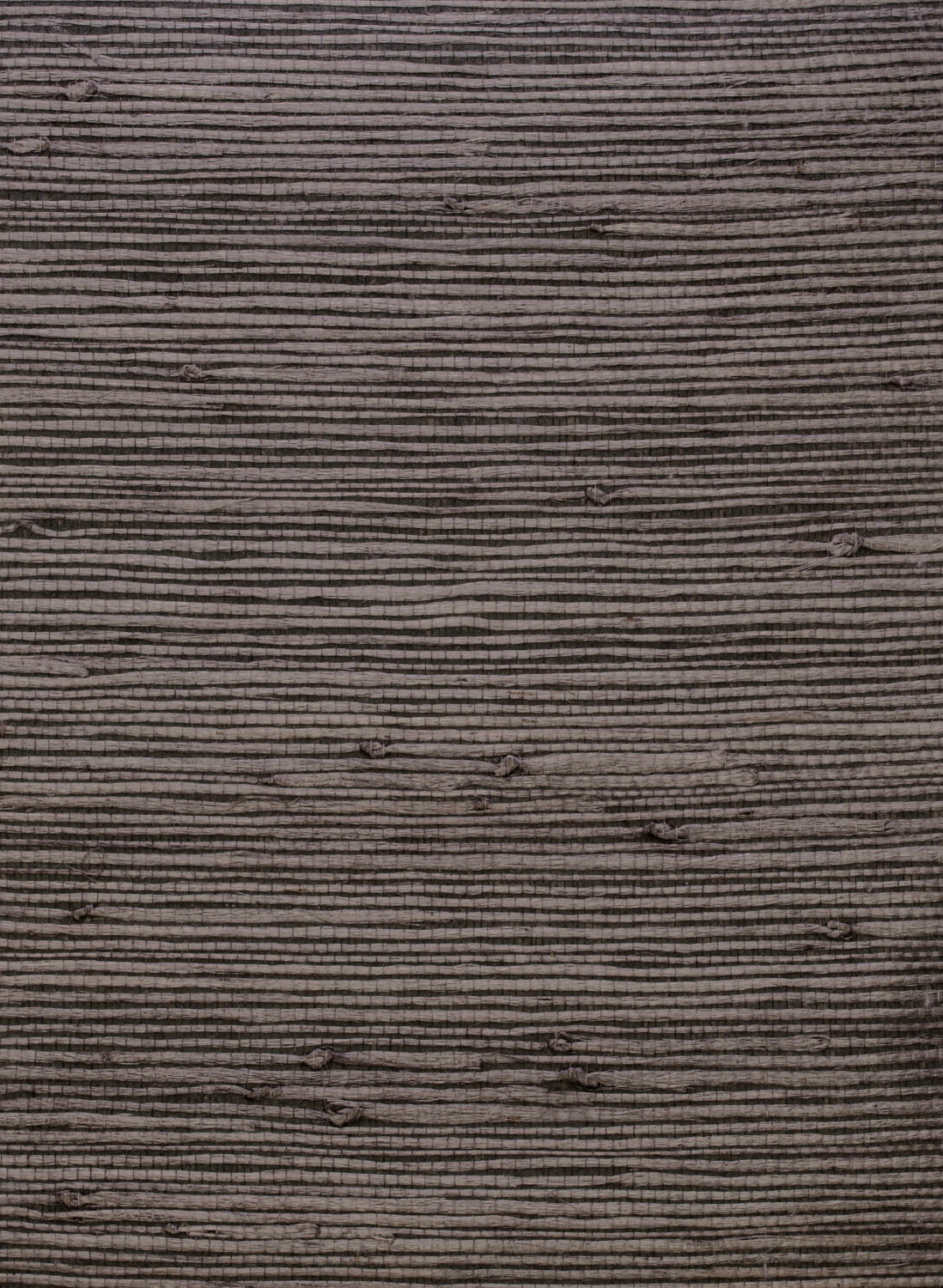 Andrew Martin Wallpaper Samburu-8322