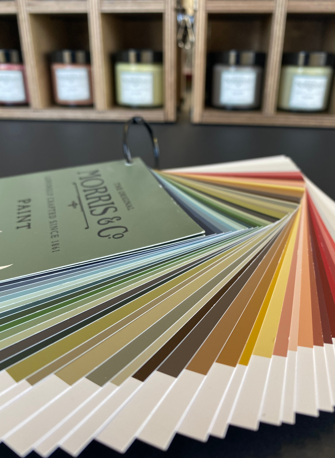 Morris & Co | Colour Fan Ring Bound | meinewand.com