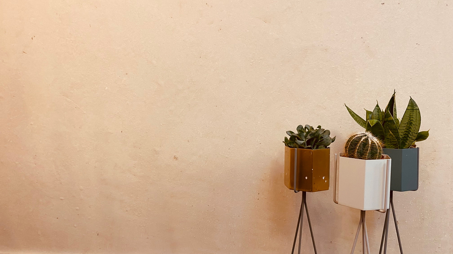 Terrastone original - Probeset-ts-1/100.m